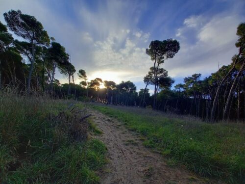 Que hacer en Necochea: 10 mejores cosas | Entre Argentina