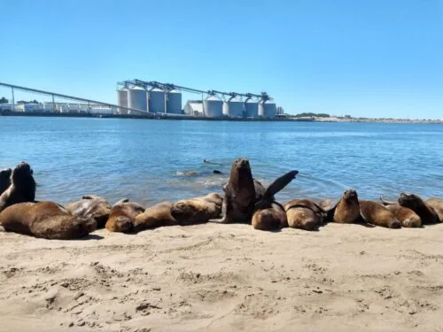 Que hacer en Necochea: 10 mejores cosas | Entre Argentina