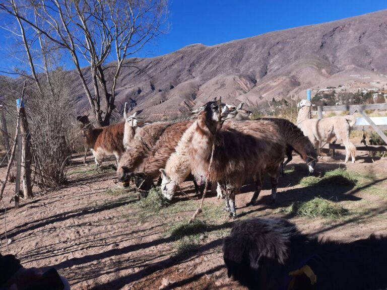 Que hacer en Purmamarca: 14 mejores cosas | Entre Argentina