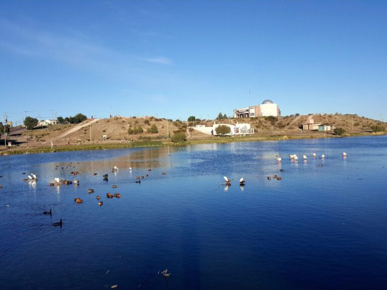 Que hacer en Trelew: 15 mejores cosas | Entre Argentina